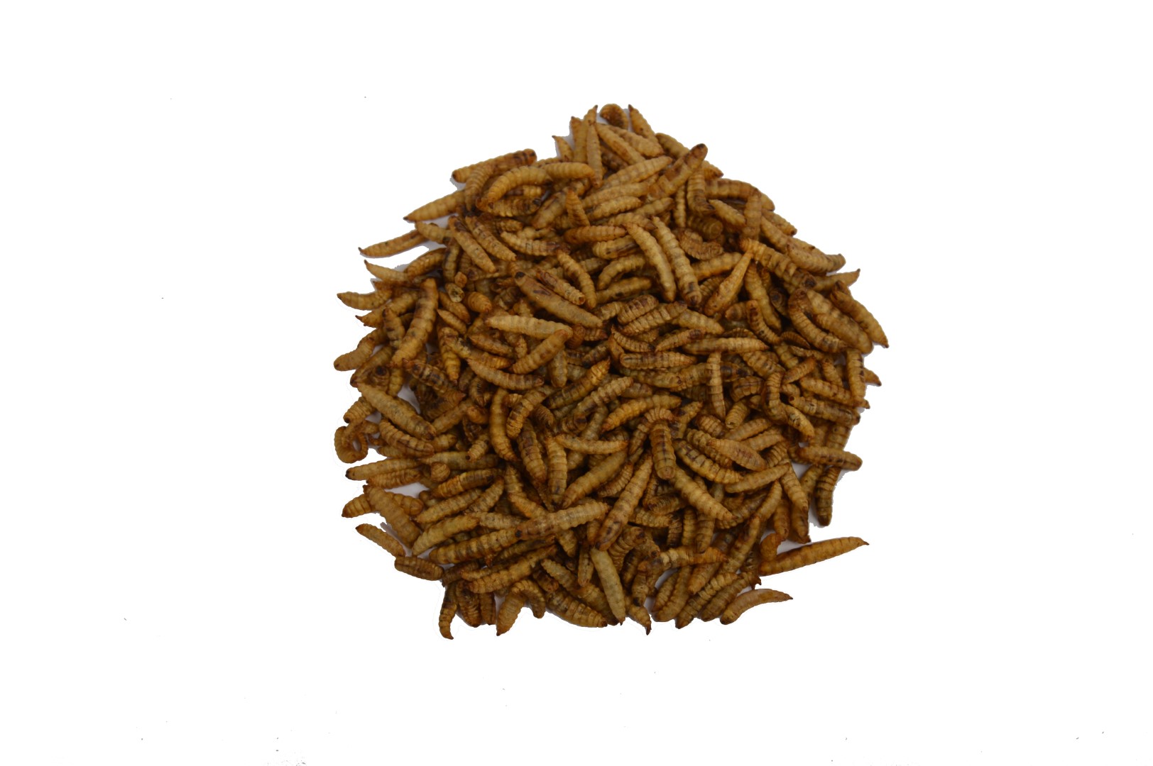 Nutri Worms 5kg (BSF) - Wielink Dierenbenodigdheden